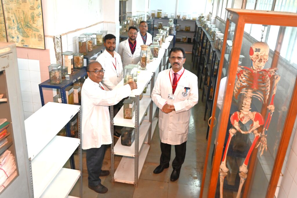 Human Anatomy - AMSC